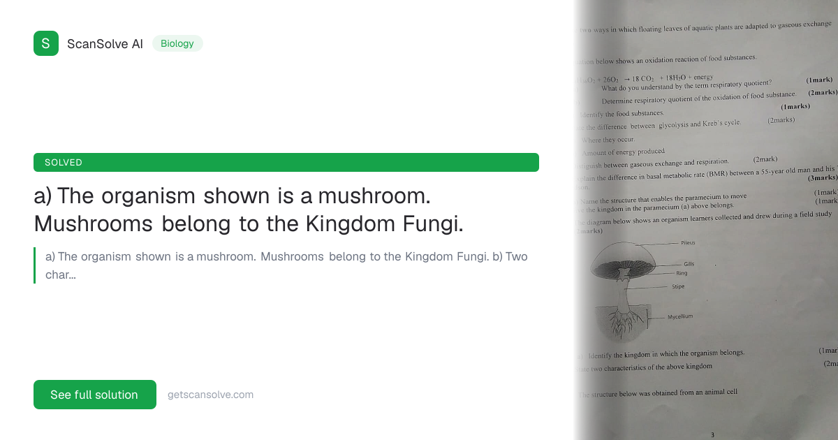 Solved: a) The organism shown is a mushroom.… | Biology | ScanSolve