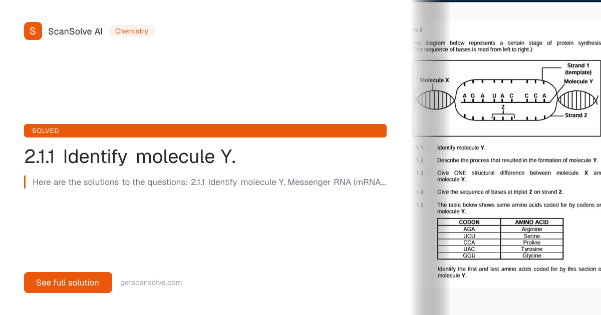 Chemistry: 2.1.1 Identify molecule Y. — Step-by-Step Solution | ScanSolve