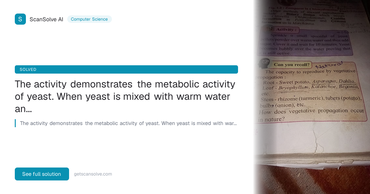 Solved: 3. The activity demonstrate… | Computer Science | ScanSolve